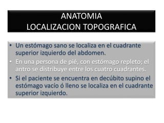 ANATOMIA DEL ESTOMAGO Y FISIOLOGIA MAS SU HISTOLOGIA | PPT