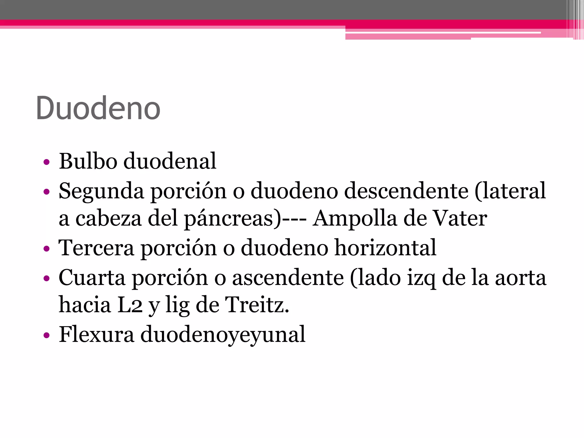 Estomago y duodeno RADIOLOGIA | PPTX