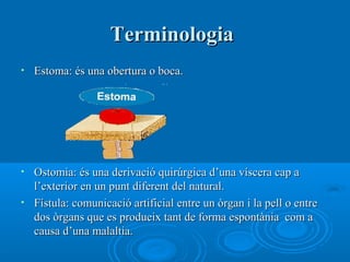 Estomaterapia2 | ODP