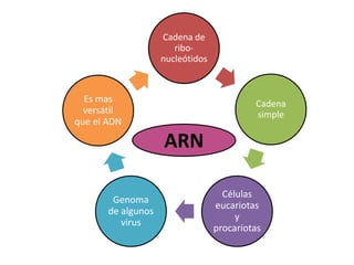 ARN | PPTX