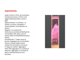 Estrazione del DNA | PPTX