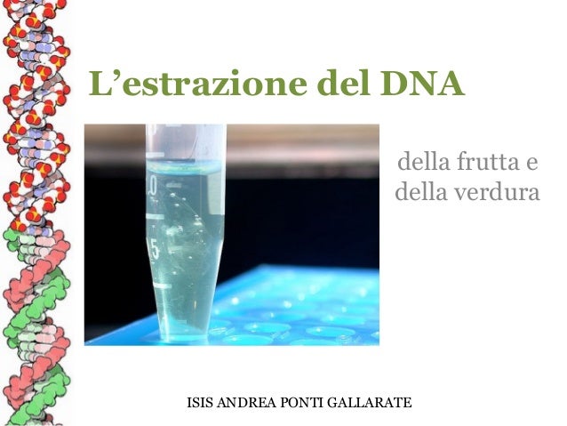 Estrazione del dna