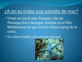Estrella de mar | PPTX