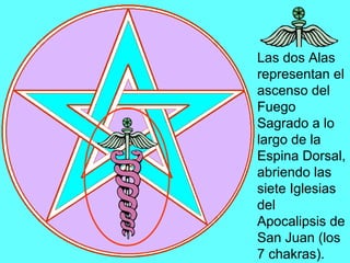 Estrella flamigera | PPT