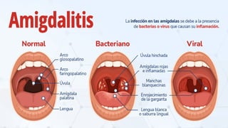 ESTREPTOCOCO Microbiología Unicah 2025.pptx