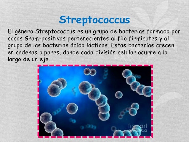 Estreptococos