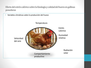ESTRES CALORICO.pptx