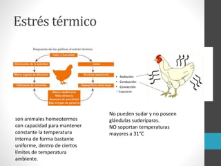 ESTRES CALORICO.pptx
