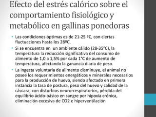 ESTRES CALORICO.pptx