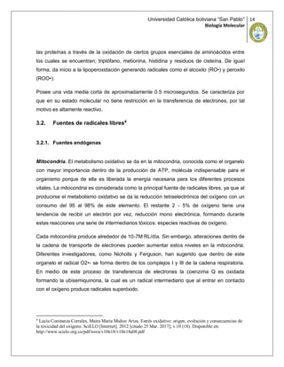 Estres Oxidativo | PDF