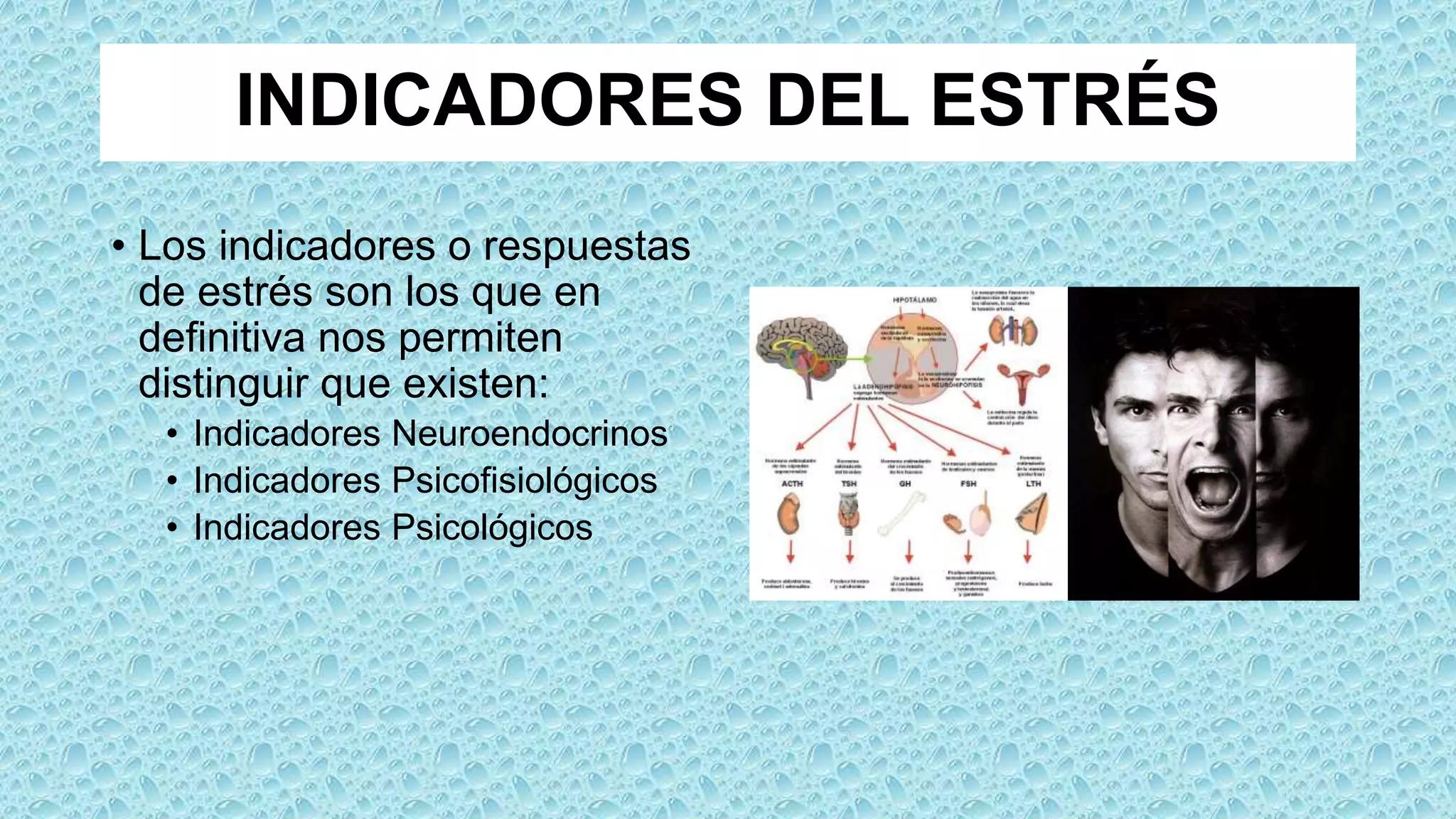 Estres | PPTX
