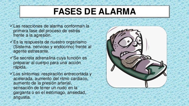 Fases Del Estrés: Alarma, Resistencia Y Agotamiento – VFIGOM