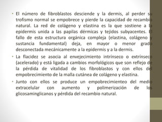 Estrias y flacidez | PPTX