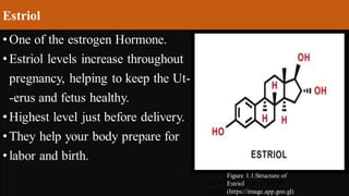 Estriol.pdf