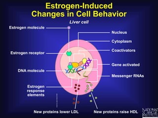 ESTROGEN.ppt