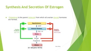 estrogen hormone and its function | PPTX