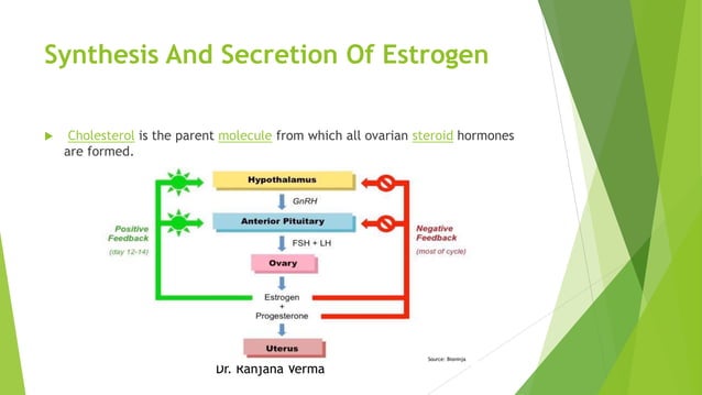 estrogen hormone and its function | PPTX | Menopause | Endocrine and ...
