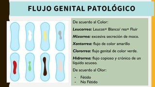 ESTROGENOS Y LEUCORREA.pptx
