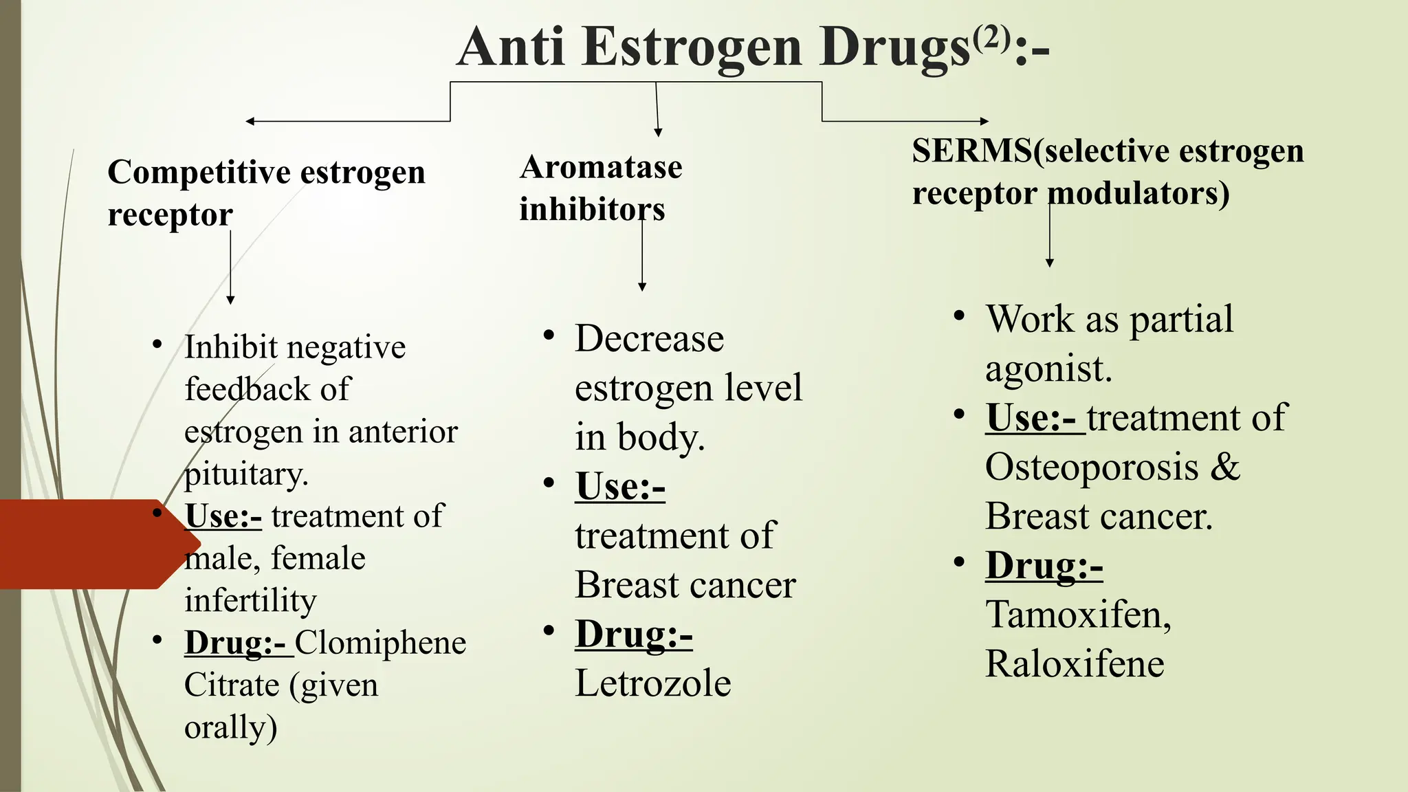 estrogen pharma.pptx..................... | PPTX