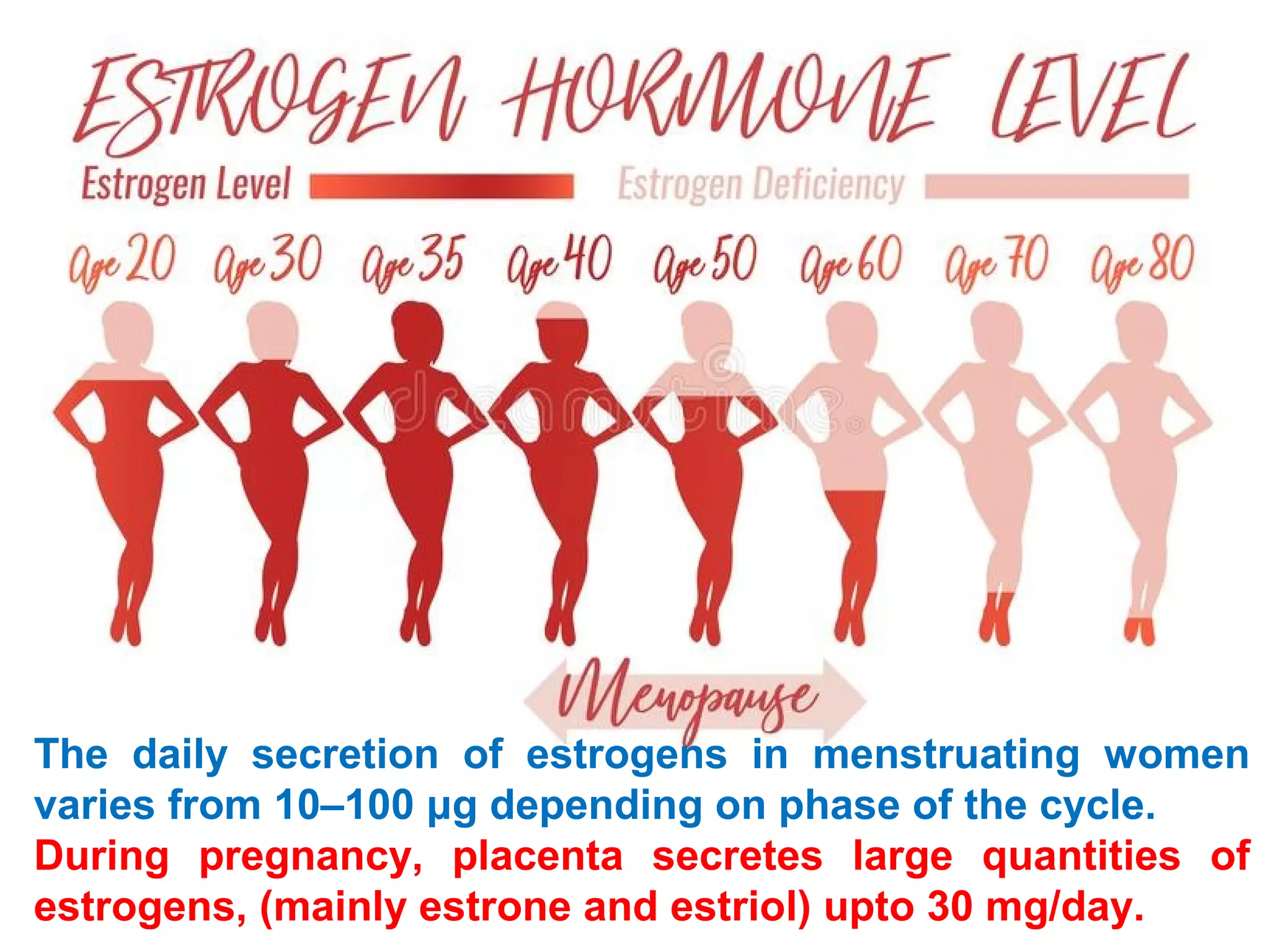 Estrogen, progestin, ocp | PPT