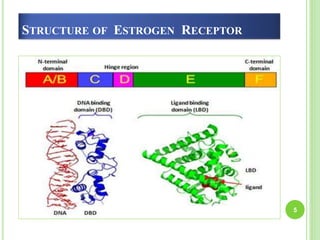 Estrogen receptor and its modulators | PPTX