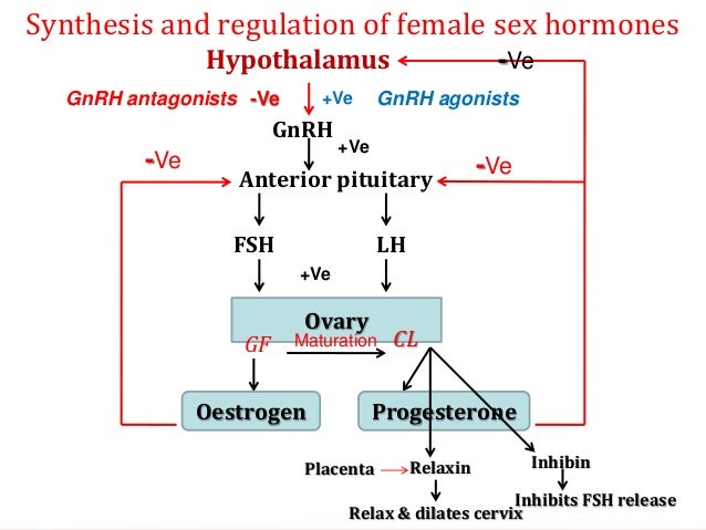 Estrogens And Progesterone Manikanta