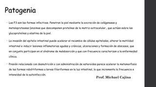 Estrongiloidiasis.pptxMorfología, ciclo de vida, fisiopatología y ...