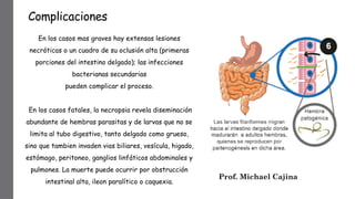 Estrongiloidiasis.pptxMorfología, ciclo de vida, fisiopatología y ...