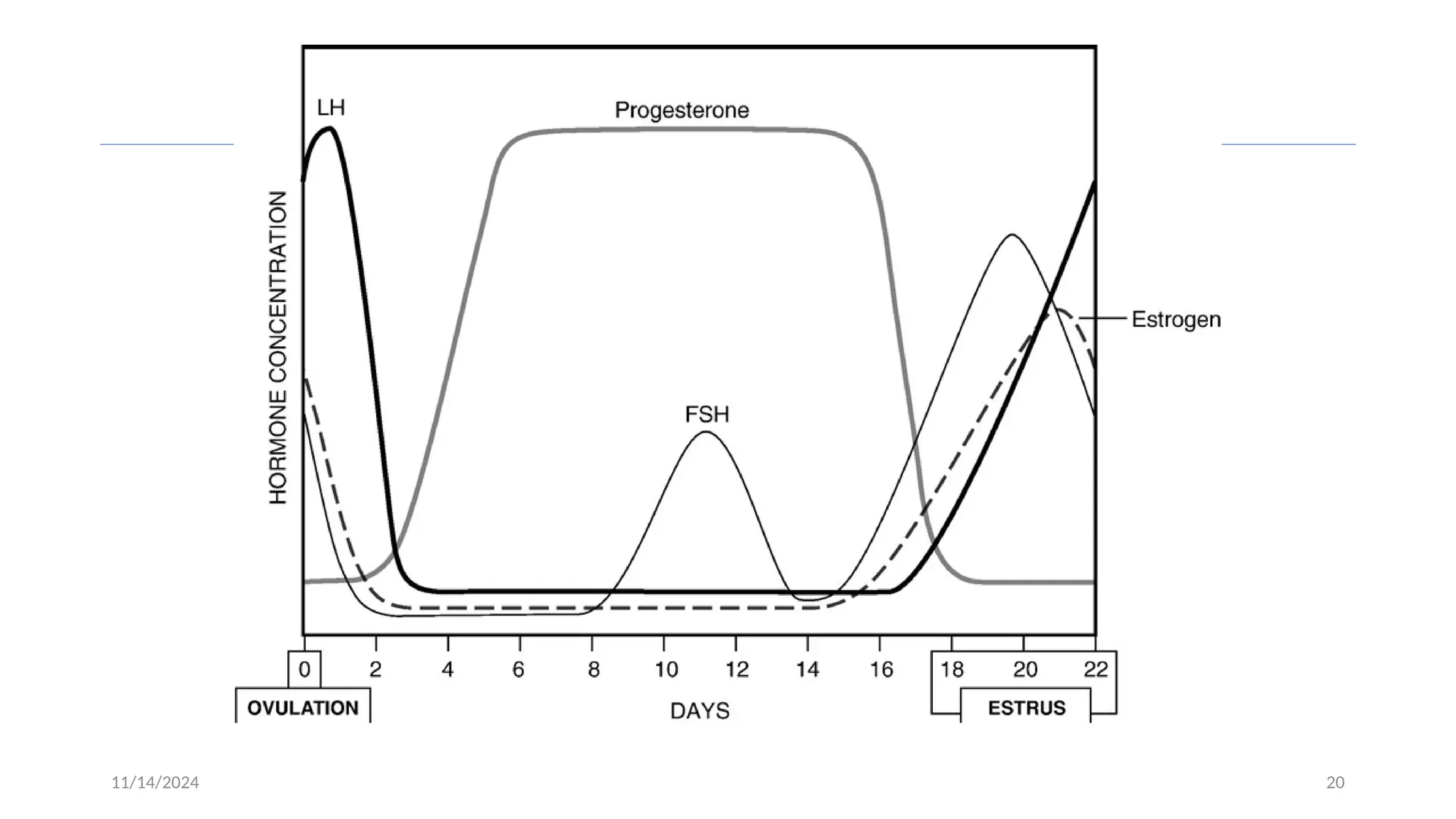Estrus cycle in mare and its different phases.pptx
