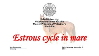Estrus cycle in mare and its different phases.pptx