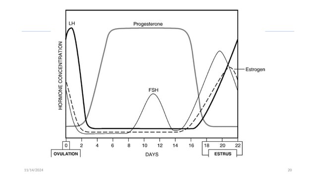 Estrus cycle in mare and its different phases.pptx