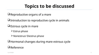Estrus cycle in mare and its different phases.pptx