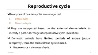 Estrus cycle in mare and its different phases.pptx