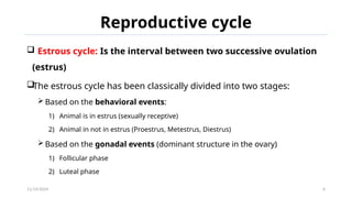 Estrus cycle in mare and its different phases.pptx