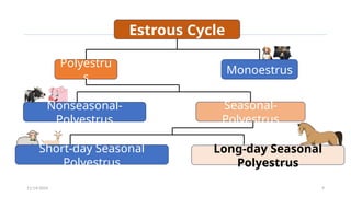 Estrus cycle in mare and its different phases.pptx