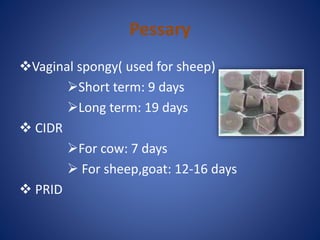 Estrous synchronization | PPTX