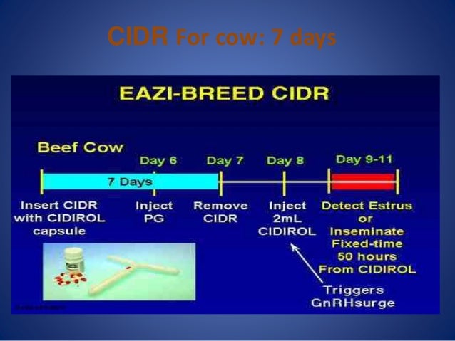 Estrous synchronization