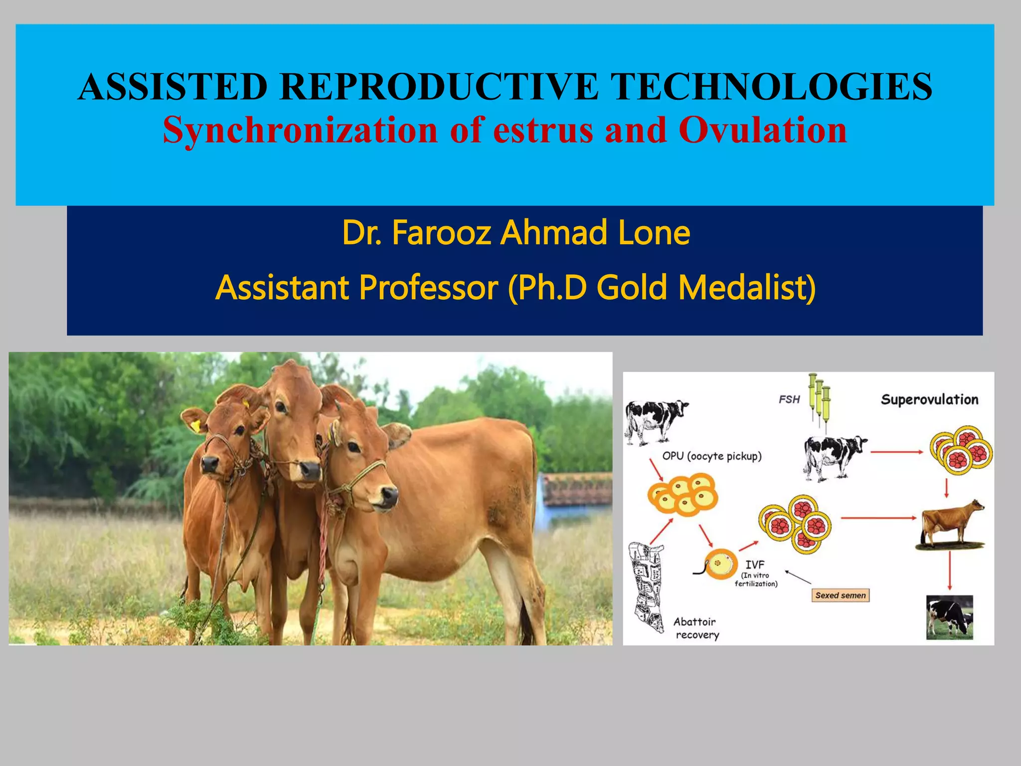 Estrous synchronization in farm animals | PPTX