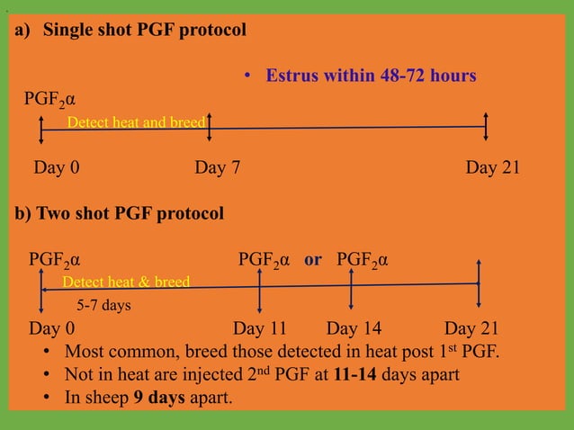 Estrous synchronization in farm animals | PPTX | Infertility | Reproductive Health