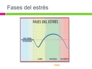 Estrés | PPTX