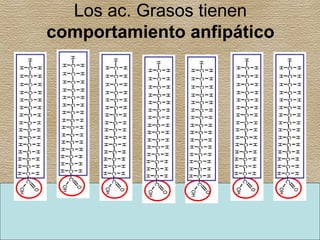 Estructura De Los áCidos Grasos | PPS