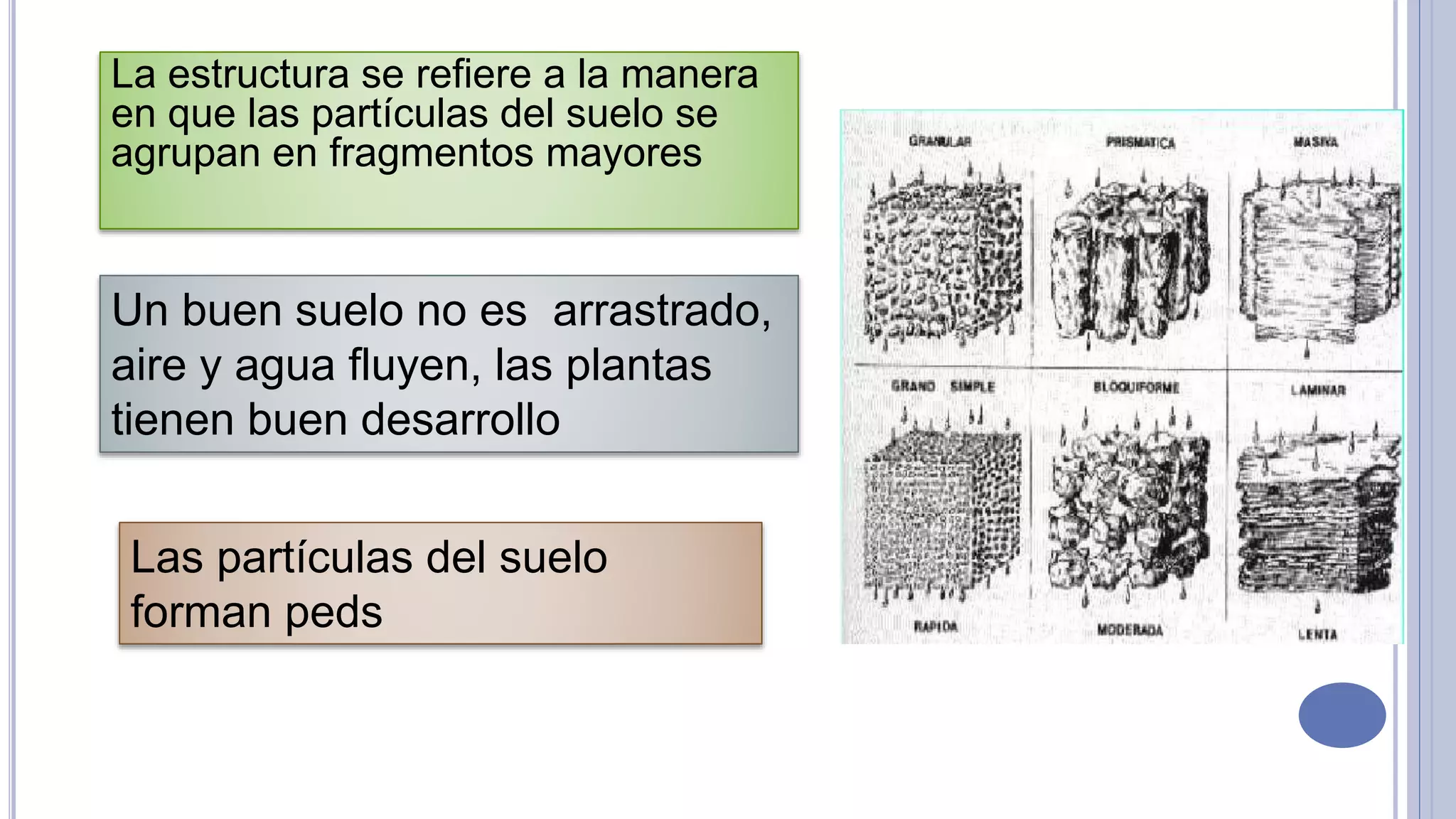 Estructura del-suelo | PPTX