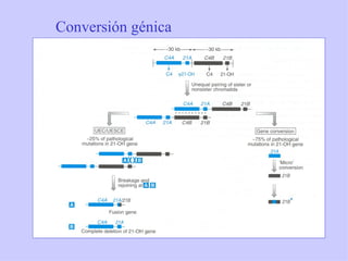 Estructura Y Funciones Del Genoma Humano | PPT