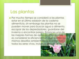 Estructura animales y plantas | PDF