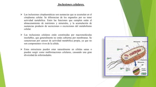 Estructura Celular. | PPTX