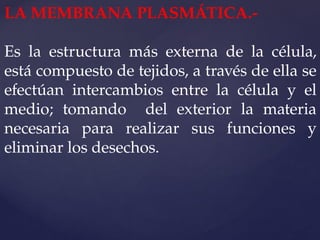 TEMA DE ESTRUCTURA CELULAR CITOPLASMA.pptx