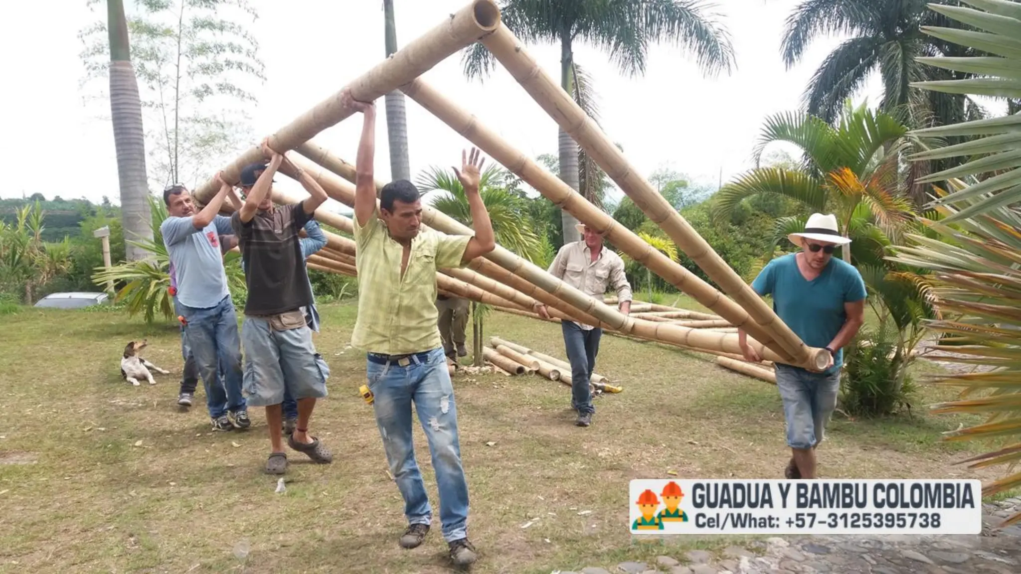 ESTRUCTURA de COLUMNAS Y VIGAS EN BAMBU GUADUA | PDF
