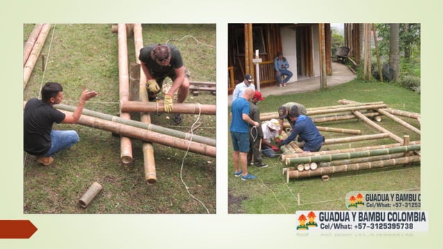 ESTRUCTURA de COLUMNAS Y VIGAS EN BAMBU GUADUA | PDF
