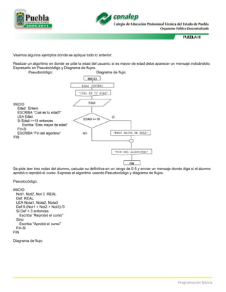 Estructura Condicional | DOC