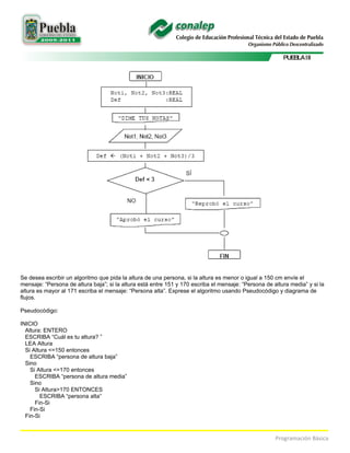Estructura Condicional | DOC